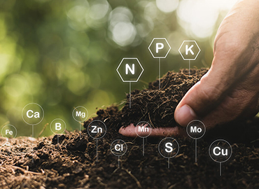 AG Pro Organics | Organic Fertilizer