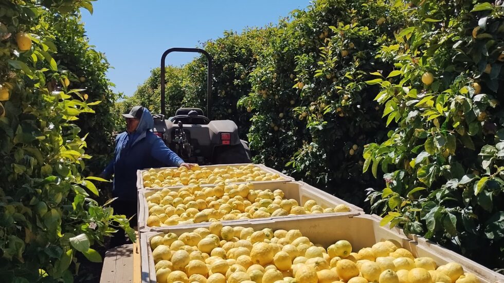 High Efficiency Fertilizers | AG Pro Organics